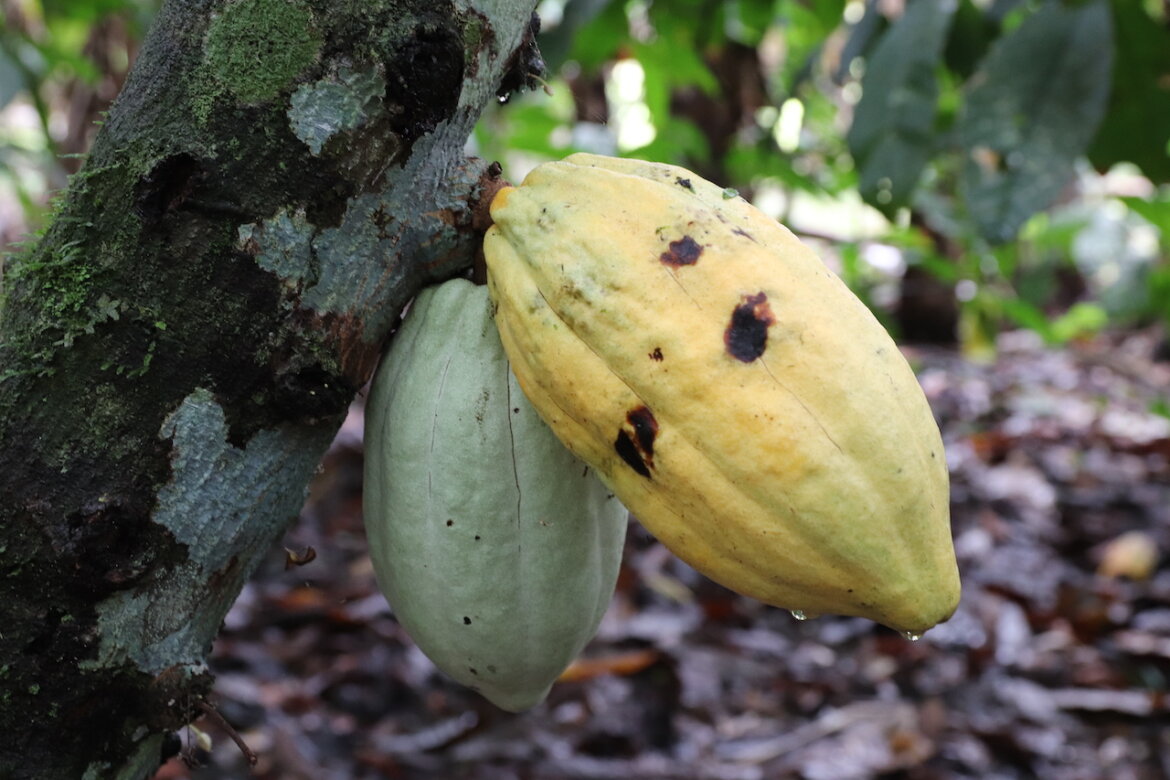 Wasserfälle und Vulkane in Costa Rica • Abenteuer Vanlife