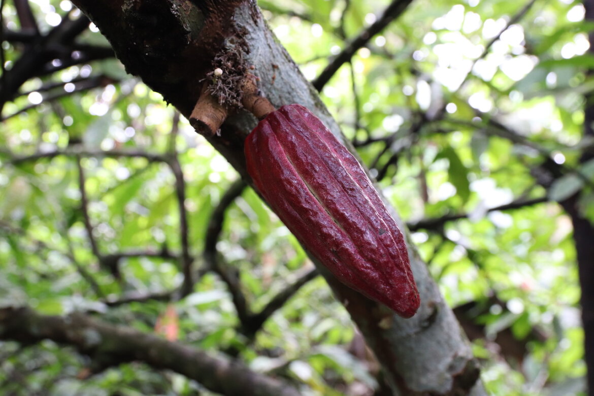 Wasserfälle und Vulkane in Costa Rica • Abenteuer Vanlife